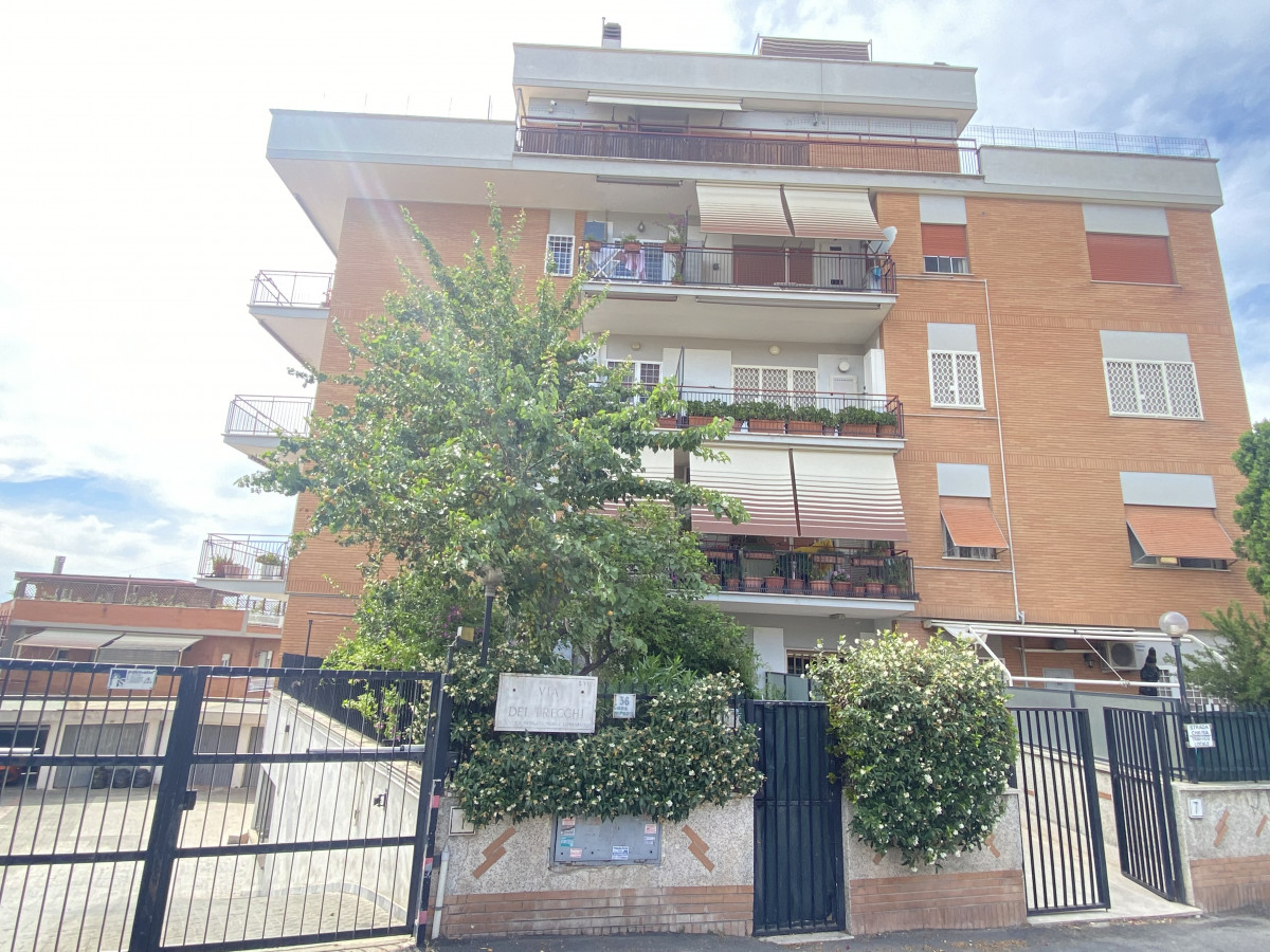 Roma Immobiliare - Agenzia Immobiliare - Trovare Casa Roma